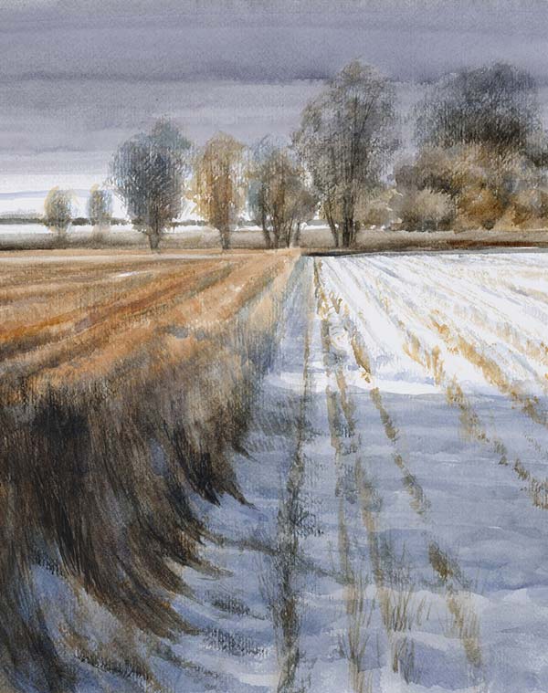 Rupert Brown — Paintings & Prints